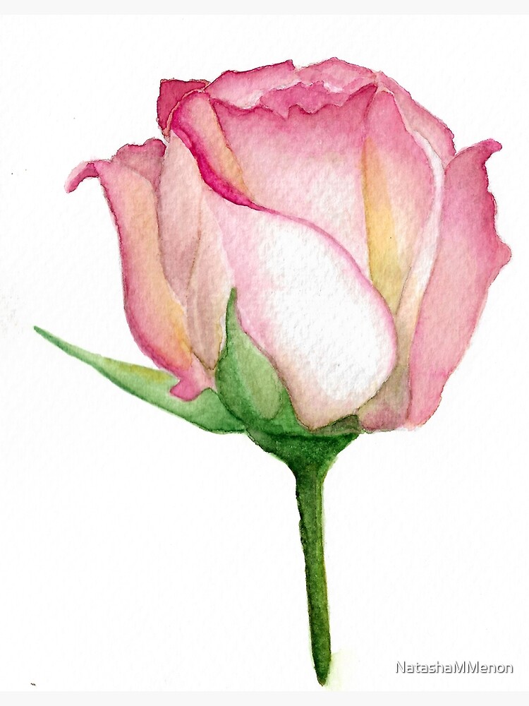 "Watercolour Rose Bud" Poster for Sale by NatashaMMenon | Redbubble