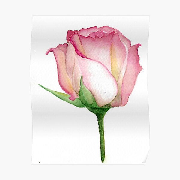 "Watercolour Rose Bud" Poster for Sale by NatashaMMenon | Redbubble