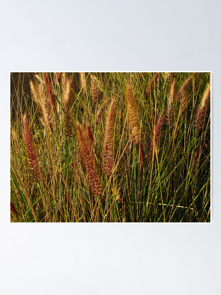 "Grass" Poster for Sale by gigges | Redbubble