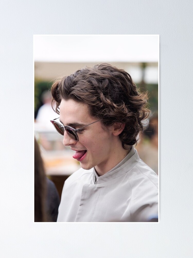 "Timothée Chalamet poster