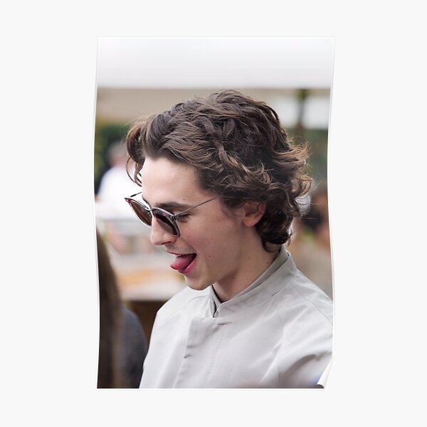 "Timothée Chalamet poster