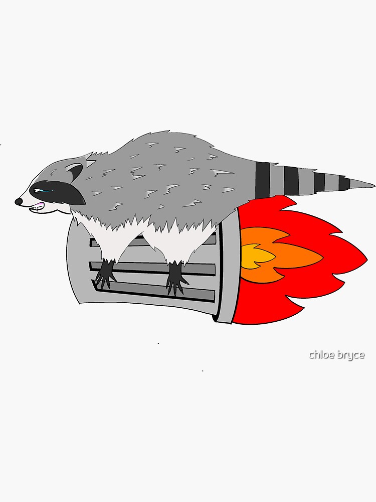 "Flying Raccoon Boy" Sticker for Sale by chlofucsik | Redbubble