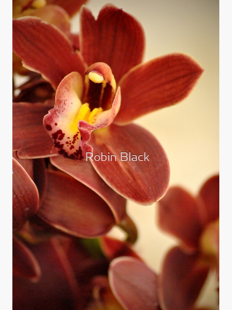 "Hail Victory" Poster for Sale by Leera07 | Redbubble