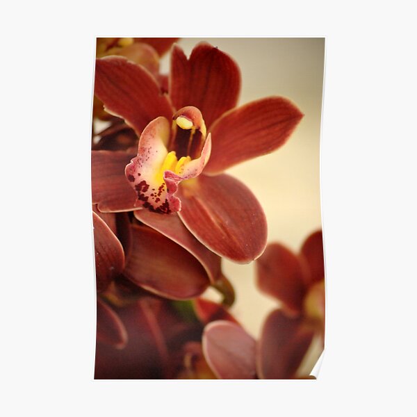 "Hail Victory" Poster for Sale by Leera07 | Redbubble