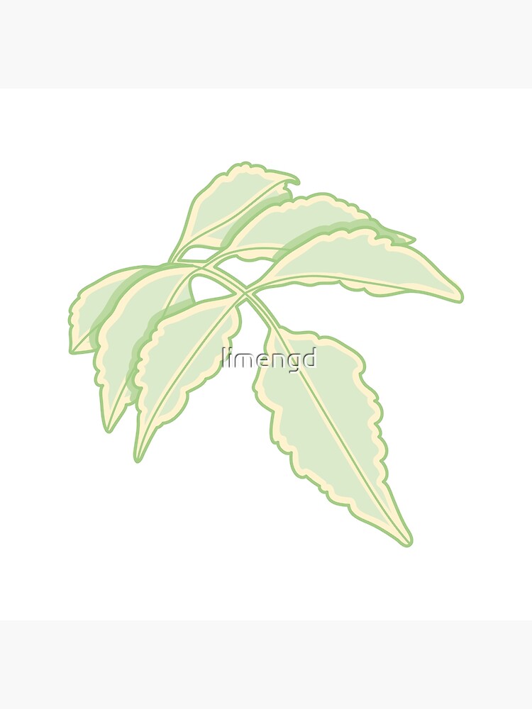 "Serrated Edge Leaflet Illustration" Poster by limengd | Redbubble