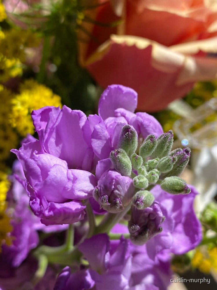 "One among many" Sticker for Sale by caitlin-murphy | Redbubble