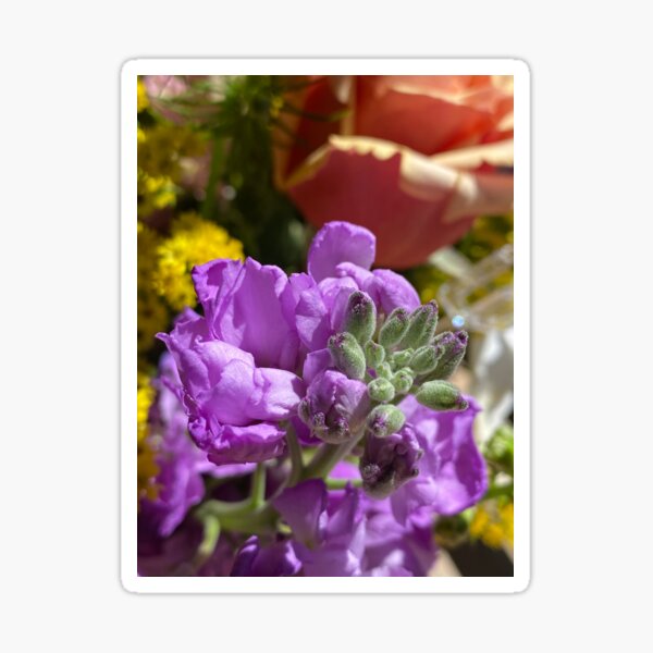 "One among many" Sticker for Sale by caitlin-murphy | Redbubble