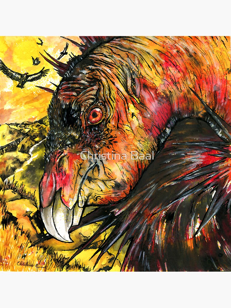 "California Condor Red-eyes" Sticker for Sale by 10000birds | Redbubble