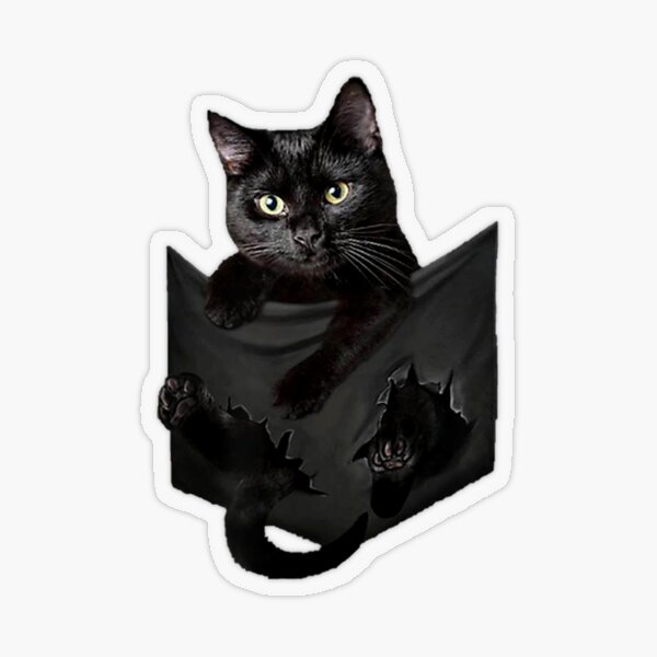 "Cat in Pocket black cat inside pocket, back cat p" Sticker for Sale by ...