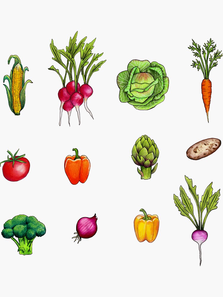 "Vegetable Garden - Summer Pattern With Colorful Veggies" Sticker for ...