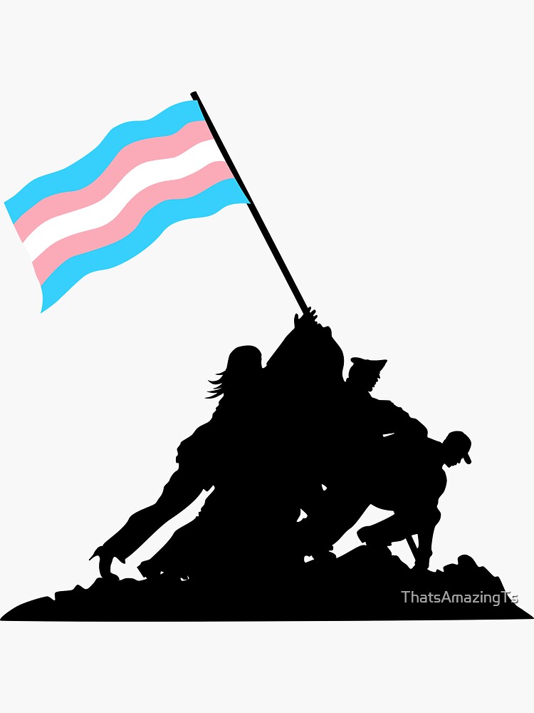"Raising the Trans Flag" Sticker for Sale by ThatsAmazingTs | Redbubble