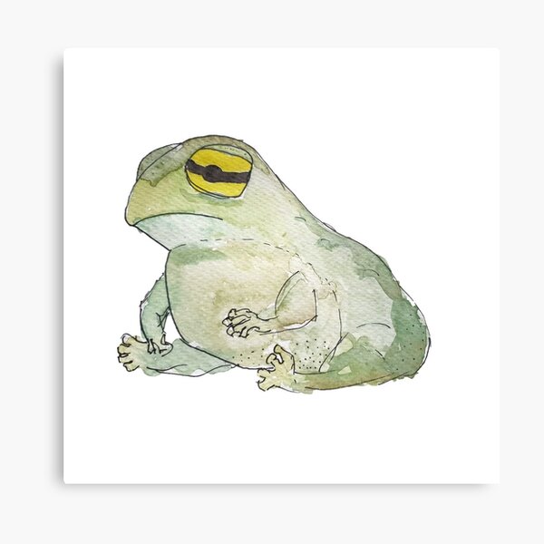 Sad Frog Canvas Prints | Redbubble