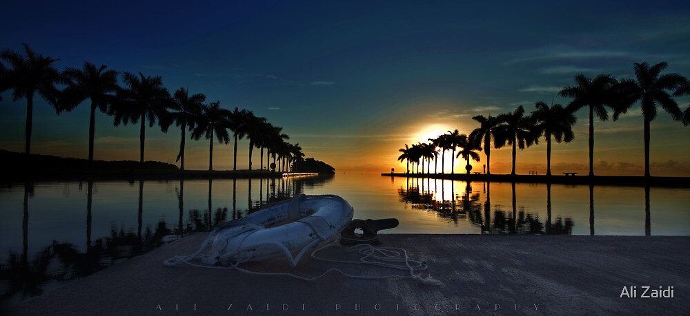 "Rising Sun - Deering Estate at Cutler, Miami Dade" by Ali Zaidi ...