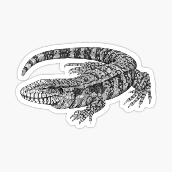 "Tegu" Sticker for Sale by TimJeffsArt | Redbubble