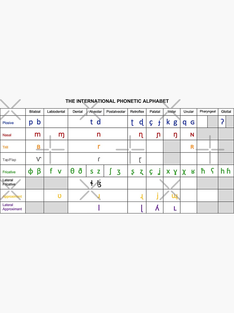 "IPA Chart" Sticker for Sale by Bododobird | Redbubble