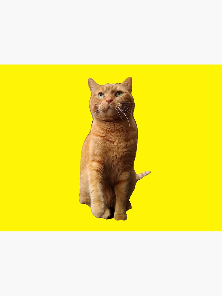 "Clyde the Cat on yellow background" Sticker by Mitzika | Redbubble