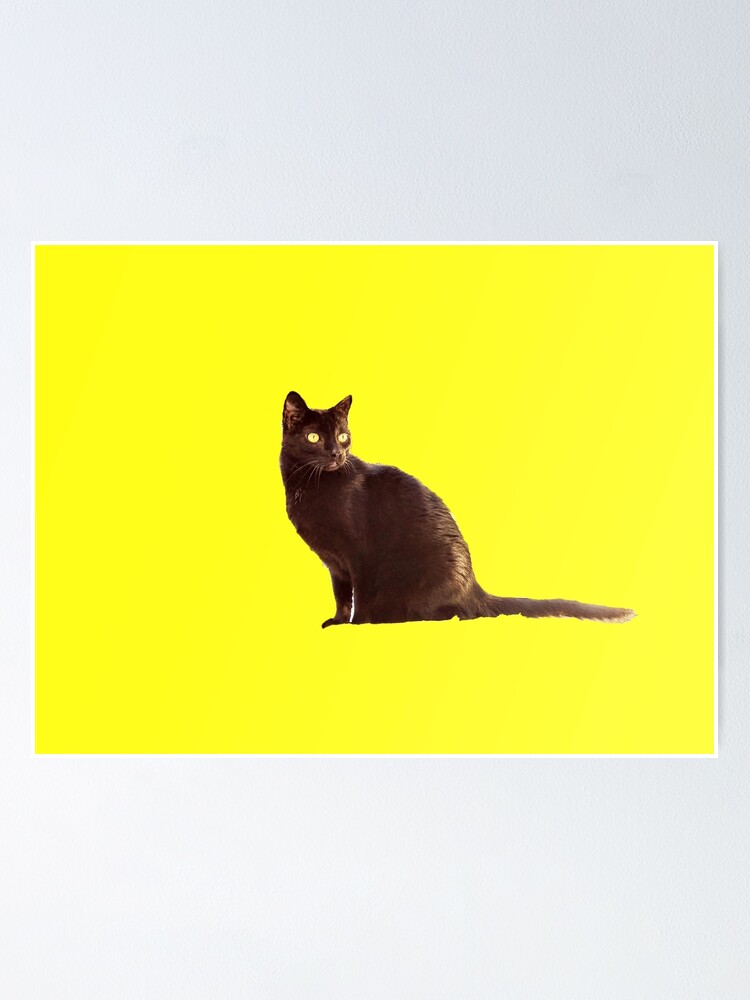 "Ivan the cat" Poster for Sale by Mitzika | Redbubble
