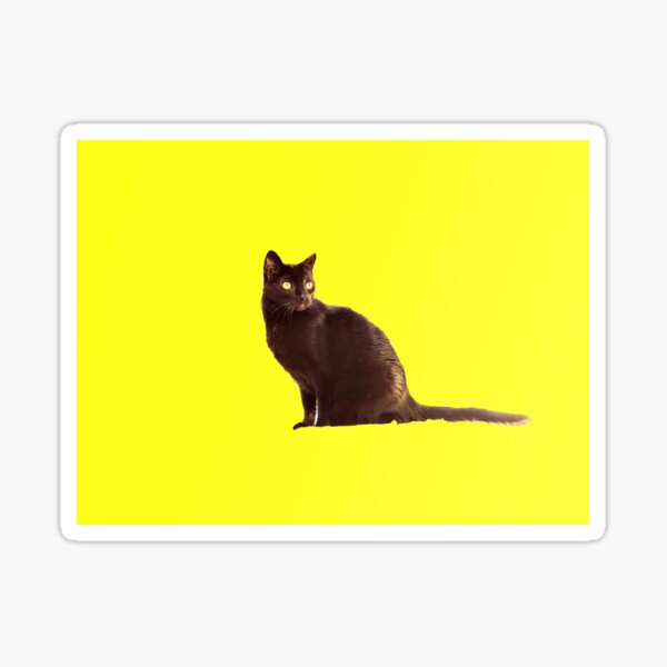 "Ivan the cat" Sticker by Mitzika | Redbubble