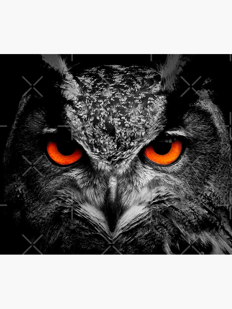 "Owl Eyes" Sticker for Sale by FantasySkyArt | Redbubble