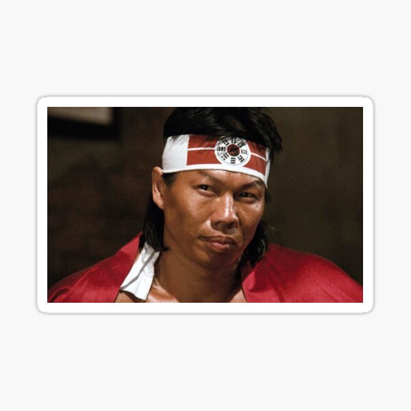 Bolo Stickers | Redbubble