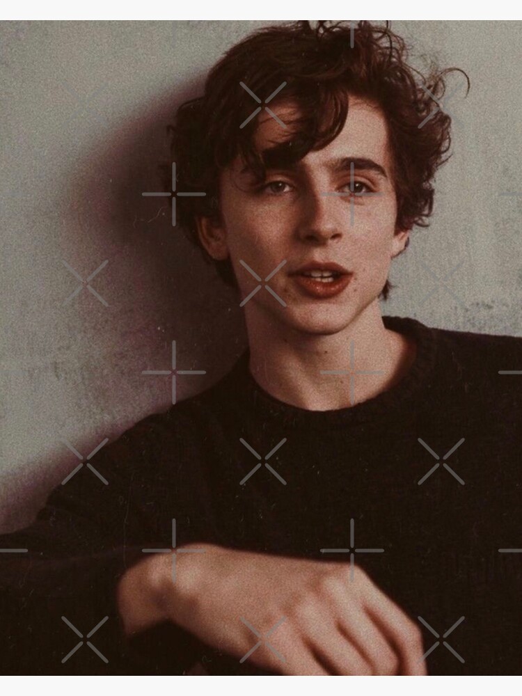 "Timothee chalamet " Poster by hala- | Redbubble