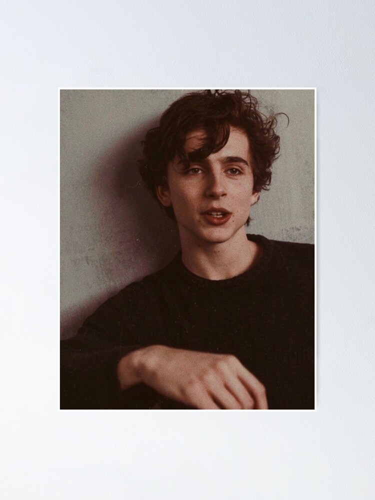 "Timothee chalamet " Poster by hala- | Redbubble