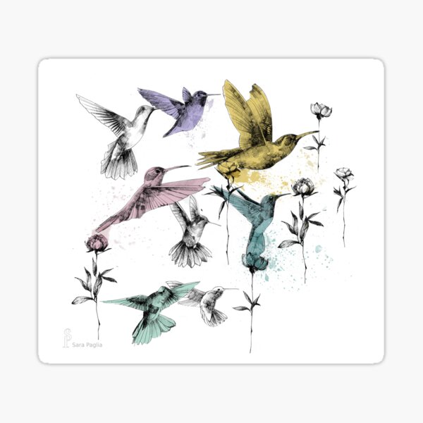"colibrì" Sticker for Sale by sarapaglia | Redbubble
