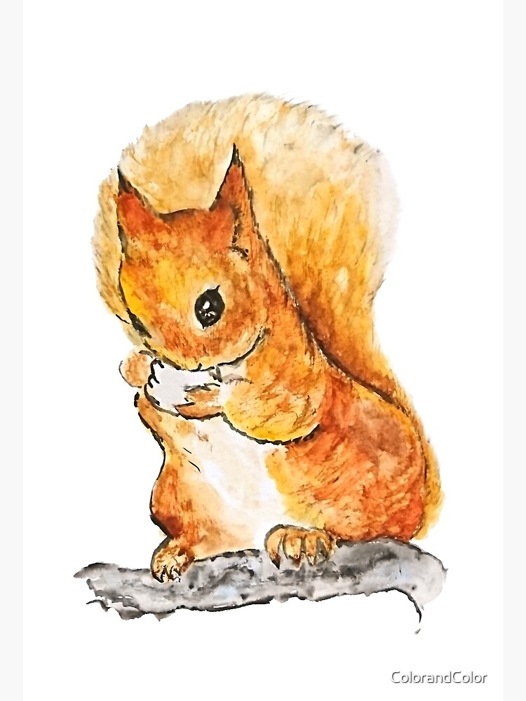 "Squirrel Nutkin Peter Rabbit Beatrix Potter" Art Print for Sale by ...