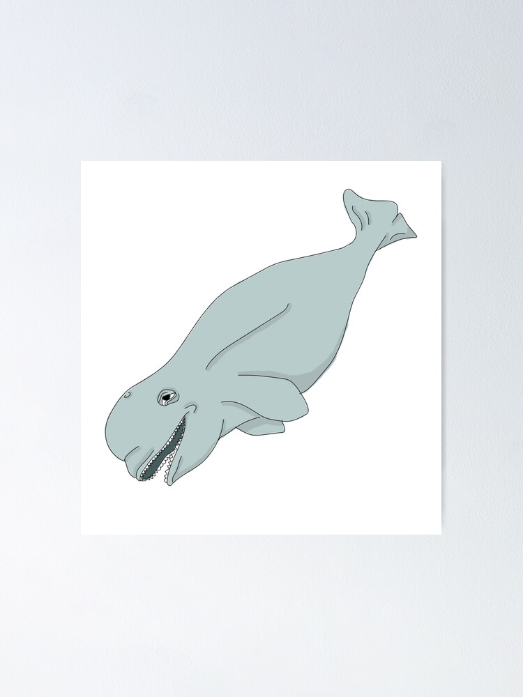 "Beluga Whale Guy" Poster for Sale by balugadesign | Redbubble