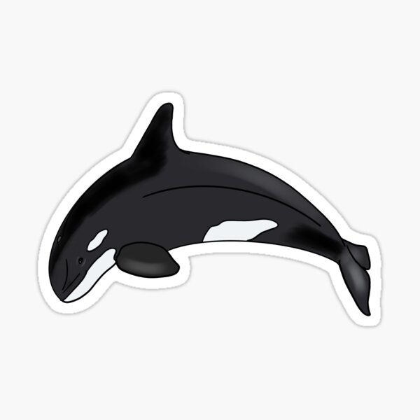 "Orca - Cartoon" Sticker for Sale by SkyRose2018 | Redbubble