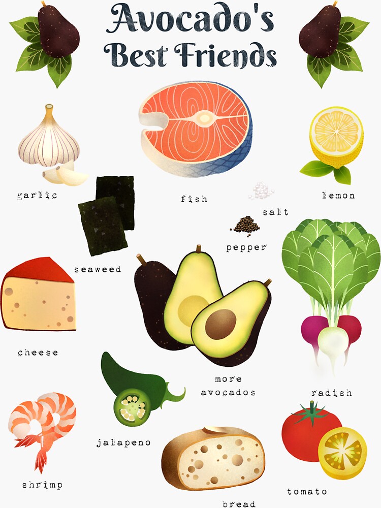 "Avocado's Best Friend" Sticker by SingDoodle | Redbubble