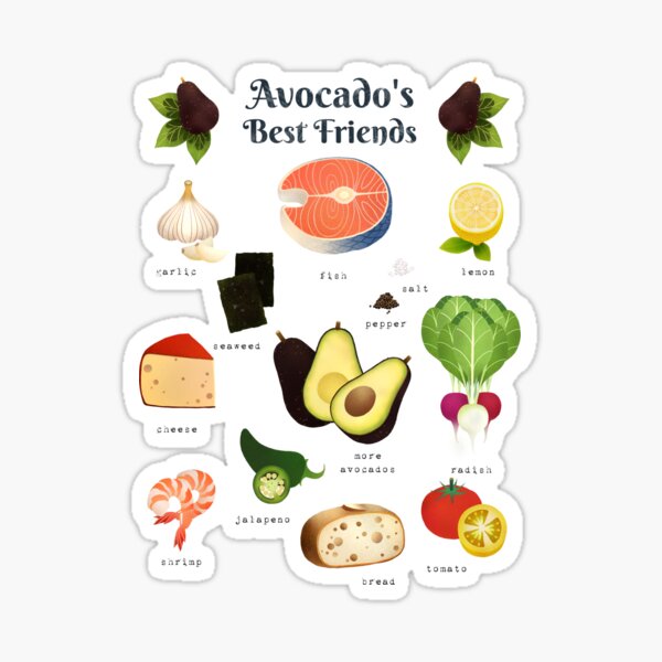 "Avocado's Best Friend" Sticker by SingDoodle | Redbubble