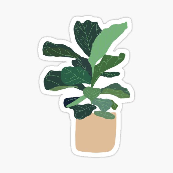 Paper & Party Supplies Paper Brown Fig Tree Plant Sticker ~ Houseplant ...