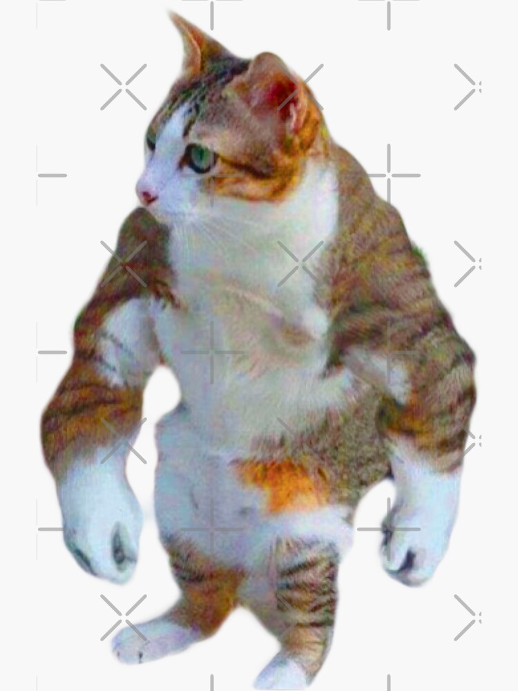 "buff cat" Sticker by po-xter | Redbubble