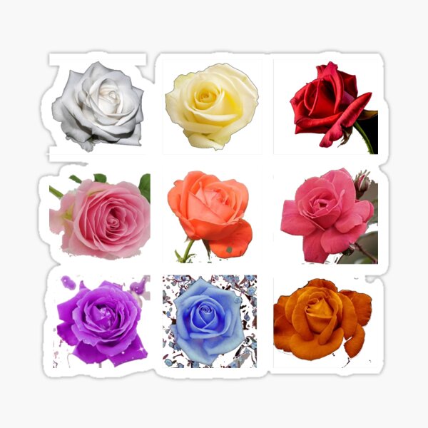 "Rose Flower T Shirts for Nerds Geeks Dorks Boys Girls Kids" Sticker ...
