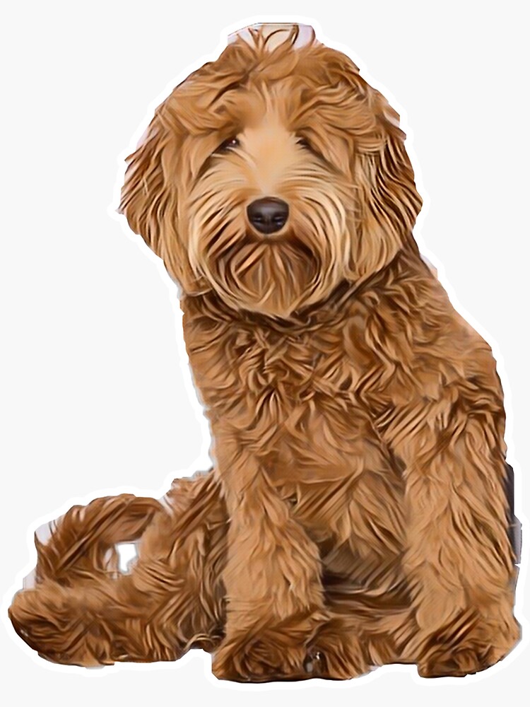 "Labradoodle" Sticker for Sale by Cedarbend | Redbubble