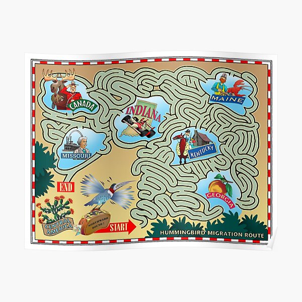 "Hummingbird Migration Maze Puzzle Art Childrens Room Decor" Poster by ...