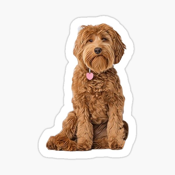 "Labradoodle " Sticker for Sale by Cedarbend | Redbubble
