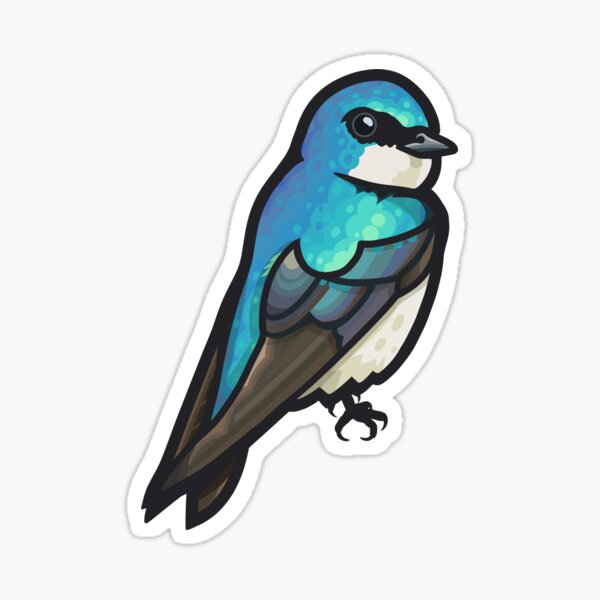 "Tree Swallow" Sticker by Ginboy | Redbubble