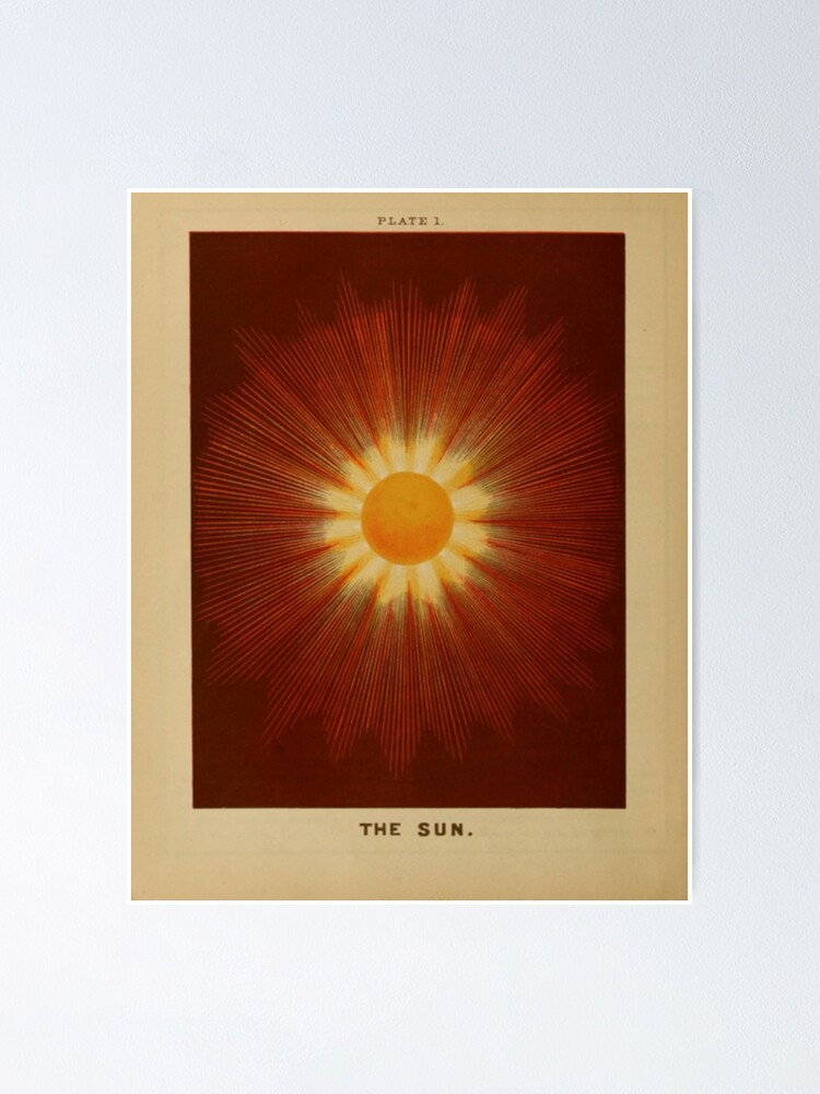 "The Sun" Poster for Sale by bluespecsstudio | Redbubble