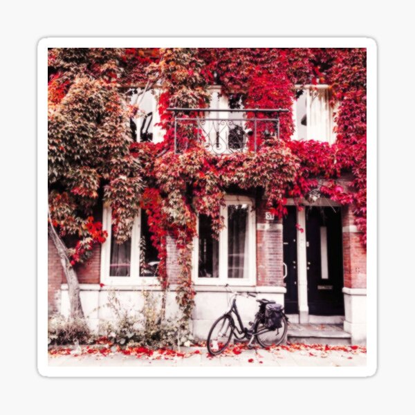 Red Aesthetic Stickers | Redbubble