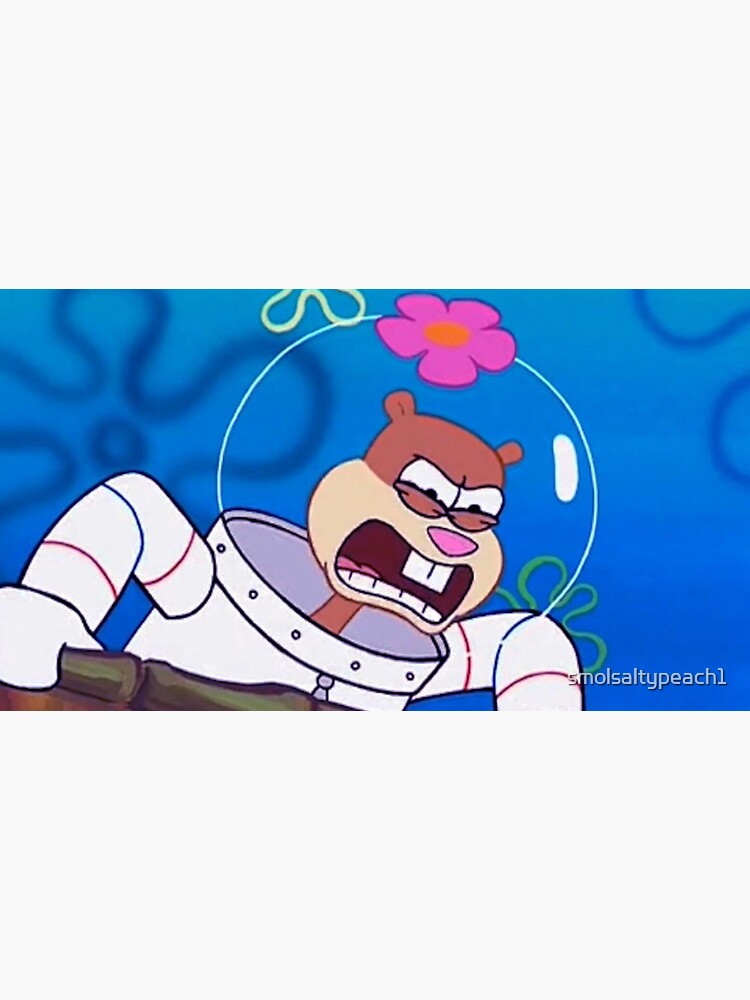 "Angry sea squirrel sandy cheeks" Sticker for Sale by smolsaltypeach1 ...