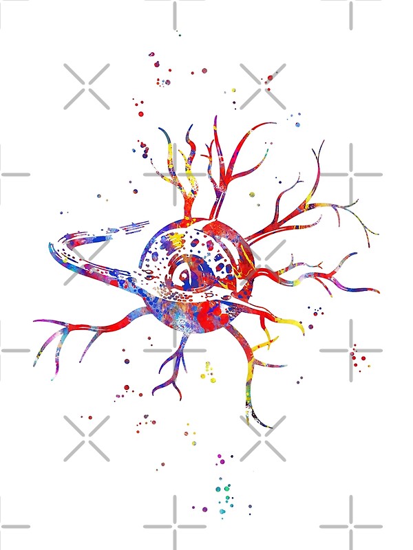 "Nerve cell, medical art, watercolor nerve cells" by Rosaliartbook ...
