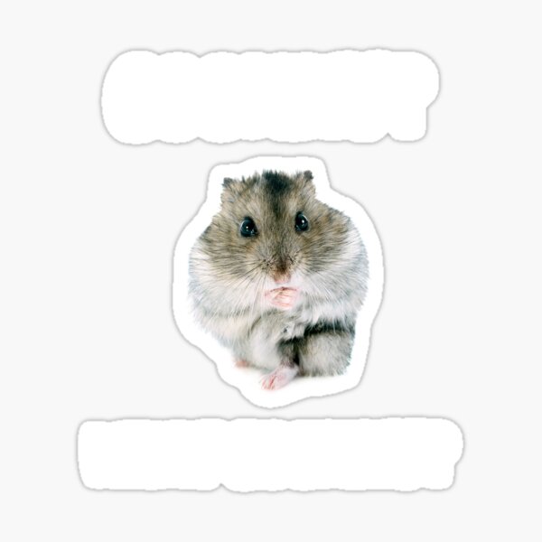 Hamsters Hamster Hamster stickers Cute Dark Grey Hamster Sticker Bubble ...