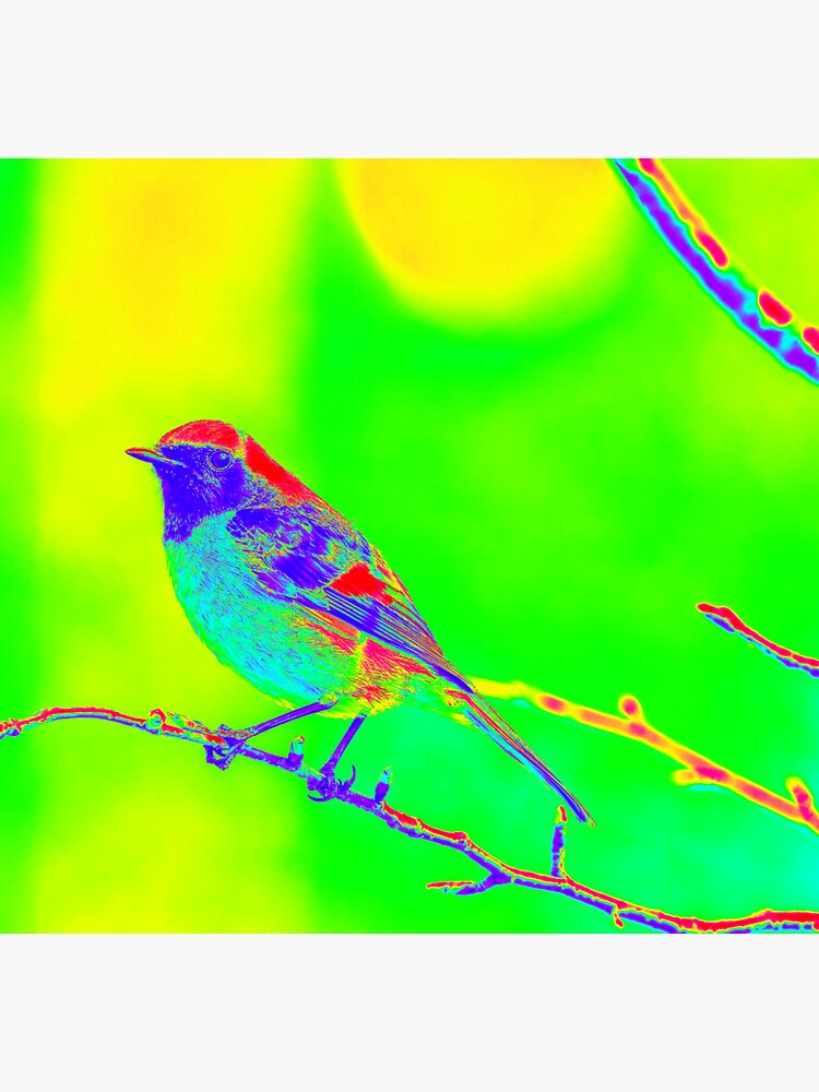 "Thermal Bird Art" Sticker by BrodyMaddox | Redbubble