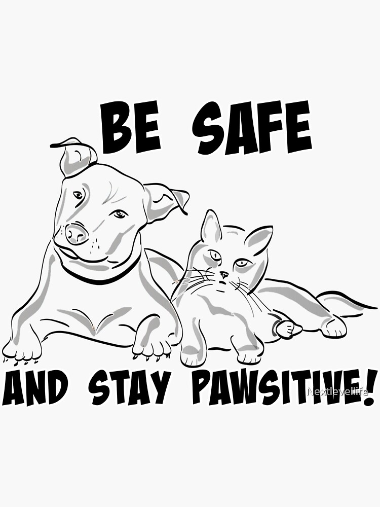"BE SAFE AND STAY PAWSITIVE! DOG AND CAT CORONA VIRUS MEMES COVID-19 ...