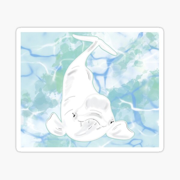 "Beluga Whale Underwater" Sticker by SkyRose2018 | Redbubble