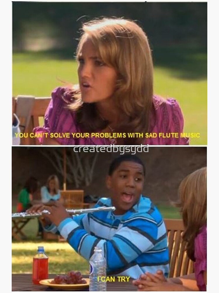 Sad Flute Memes Why Y'all Hate The Flutes So Much? : R/Bandmemes