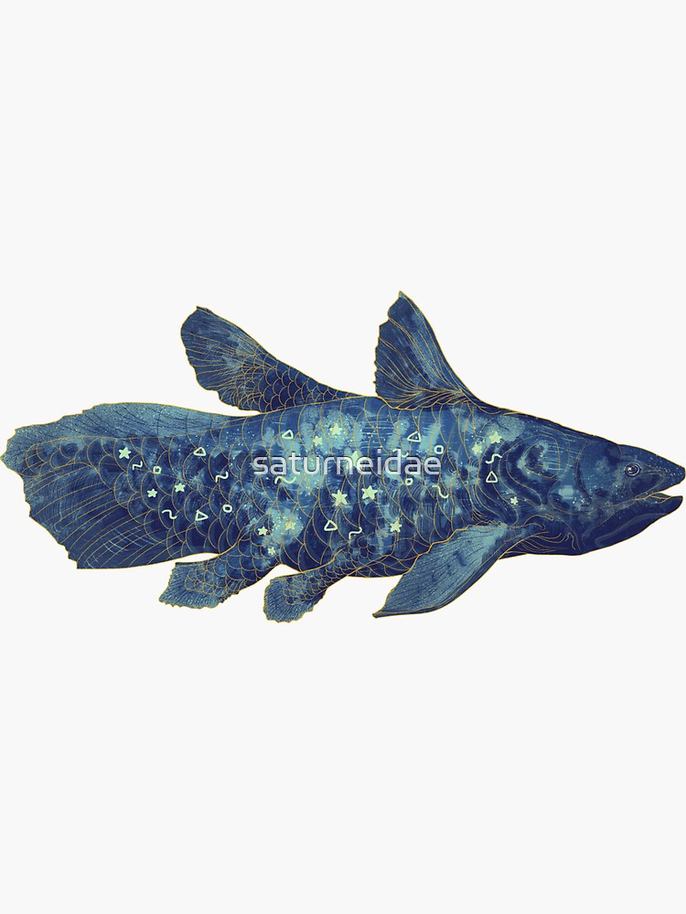 "Coelacanth" Sticker for Sale by saturneidae | Redbubble