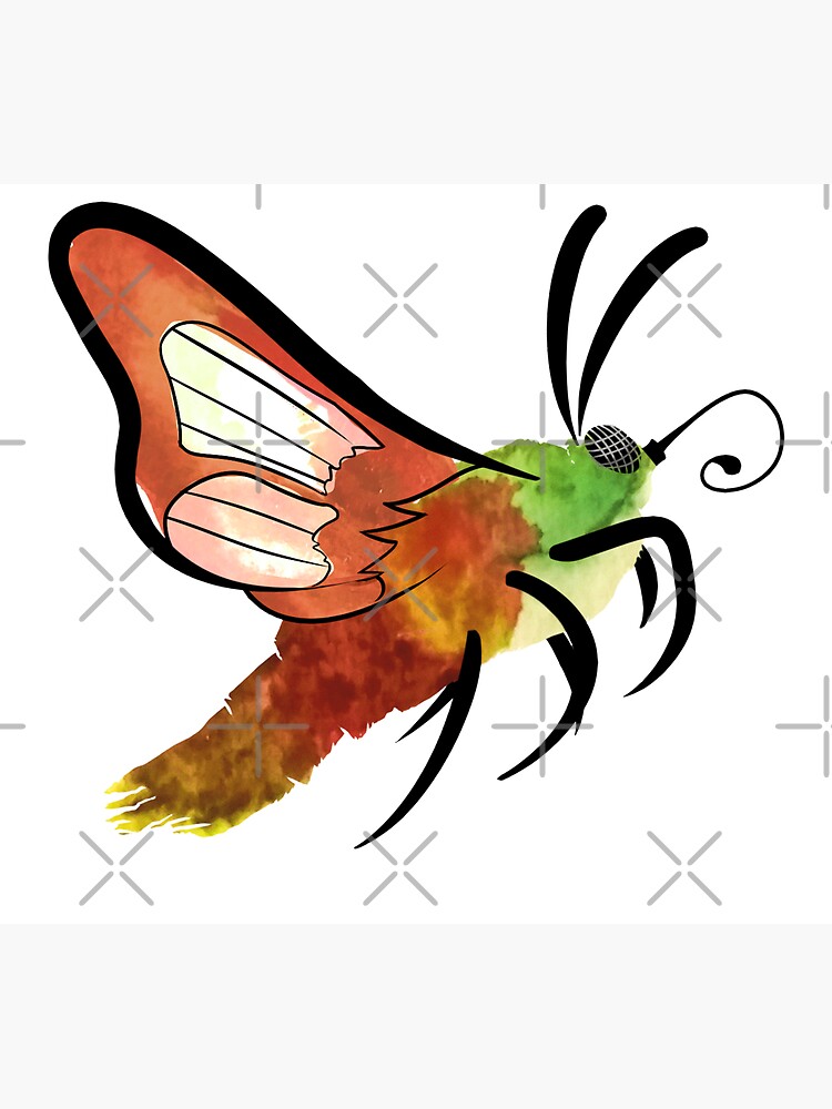 "Magestic Hummingbird Moth" Sticker by danikumor | Redbubble